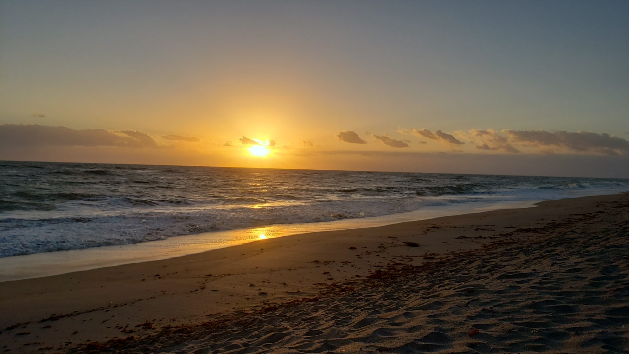 Council on Aging of St. Lucie – Non-Profit Agency